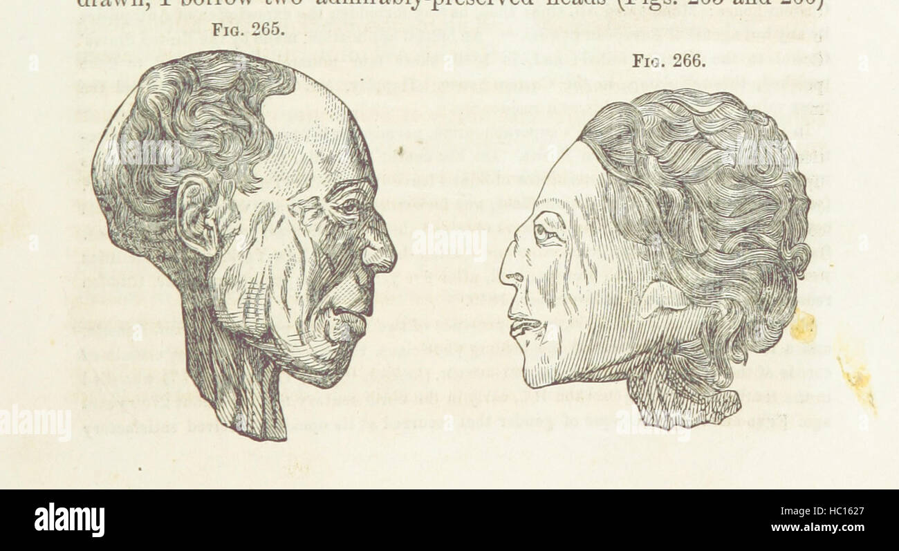 Types of mankind 1854 hi-res stock photography and images - Alamy