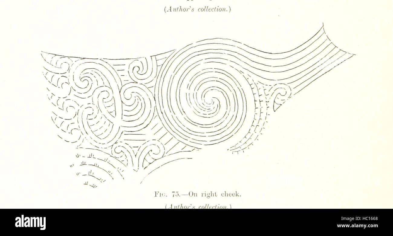 This illustration from 'Moko; or, Maori Tattooing' depicts traditional ...
