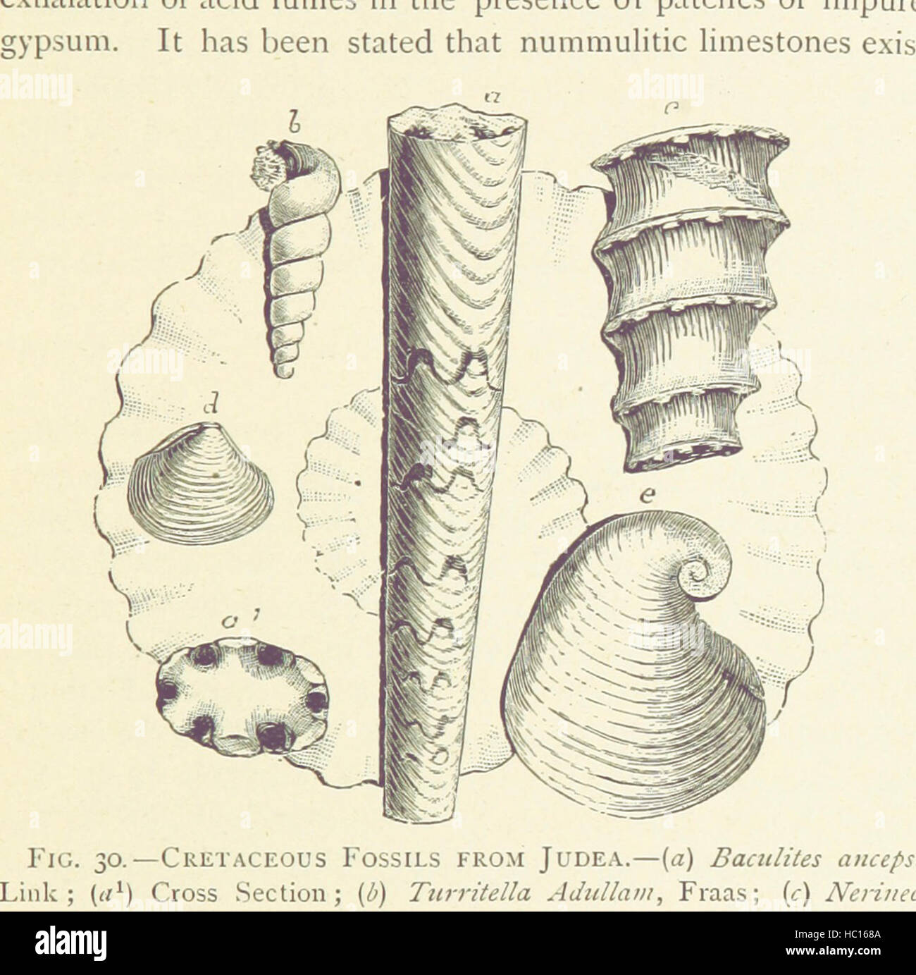 This image from page 347 of 'Modern Science in Bible Lands' shows ...