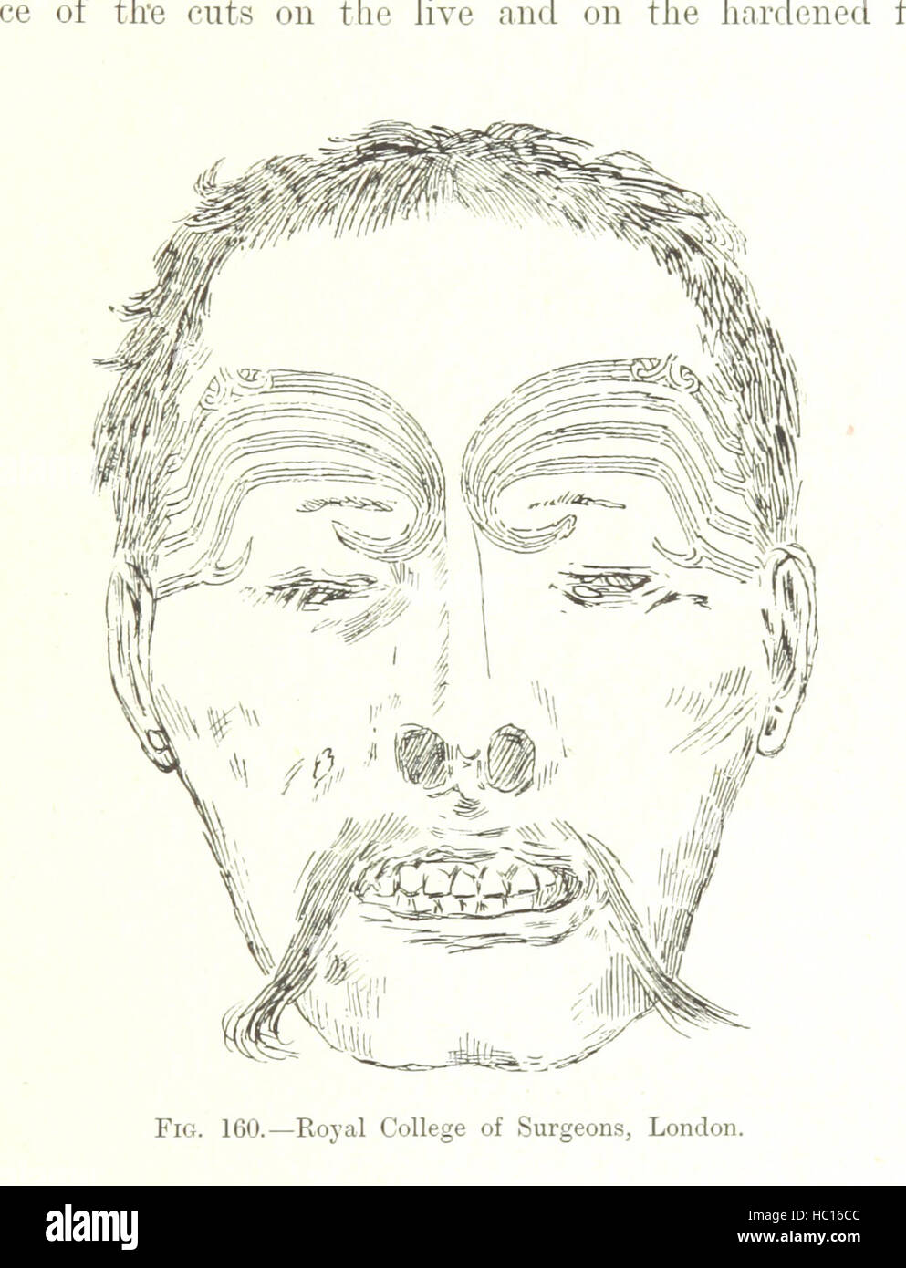 Moko; or, Maori Tattooing ... With ... illustrations, etc Image taken ...