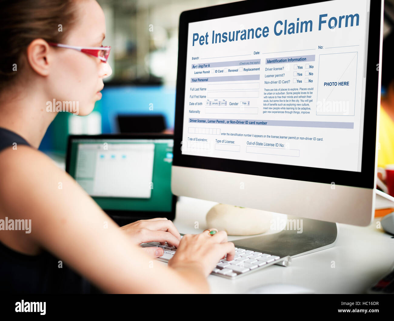 Pet Insurance Claim Form Protection Safety Health Concept Stock Photo ...