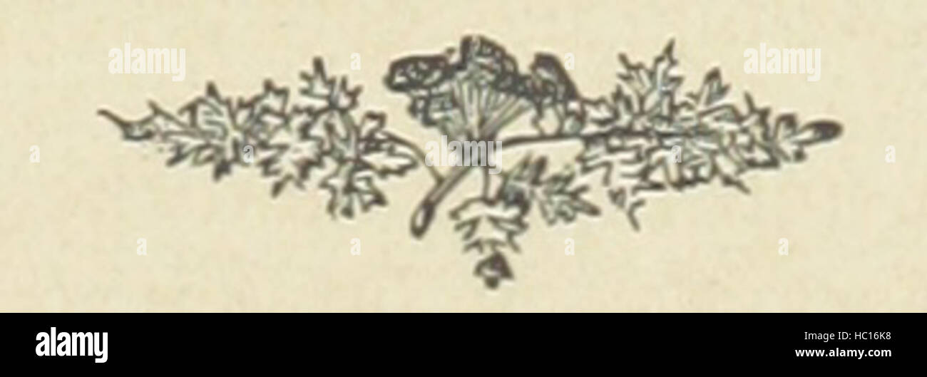 This image depicts the centenary of Thomas Moore, showing portraits ...