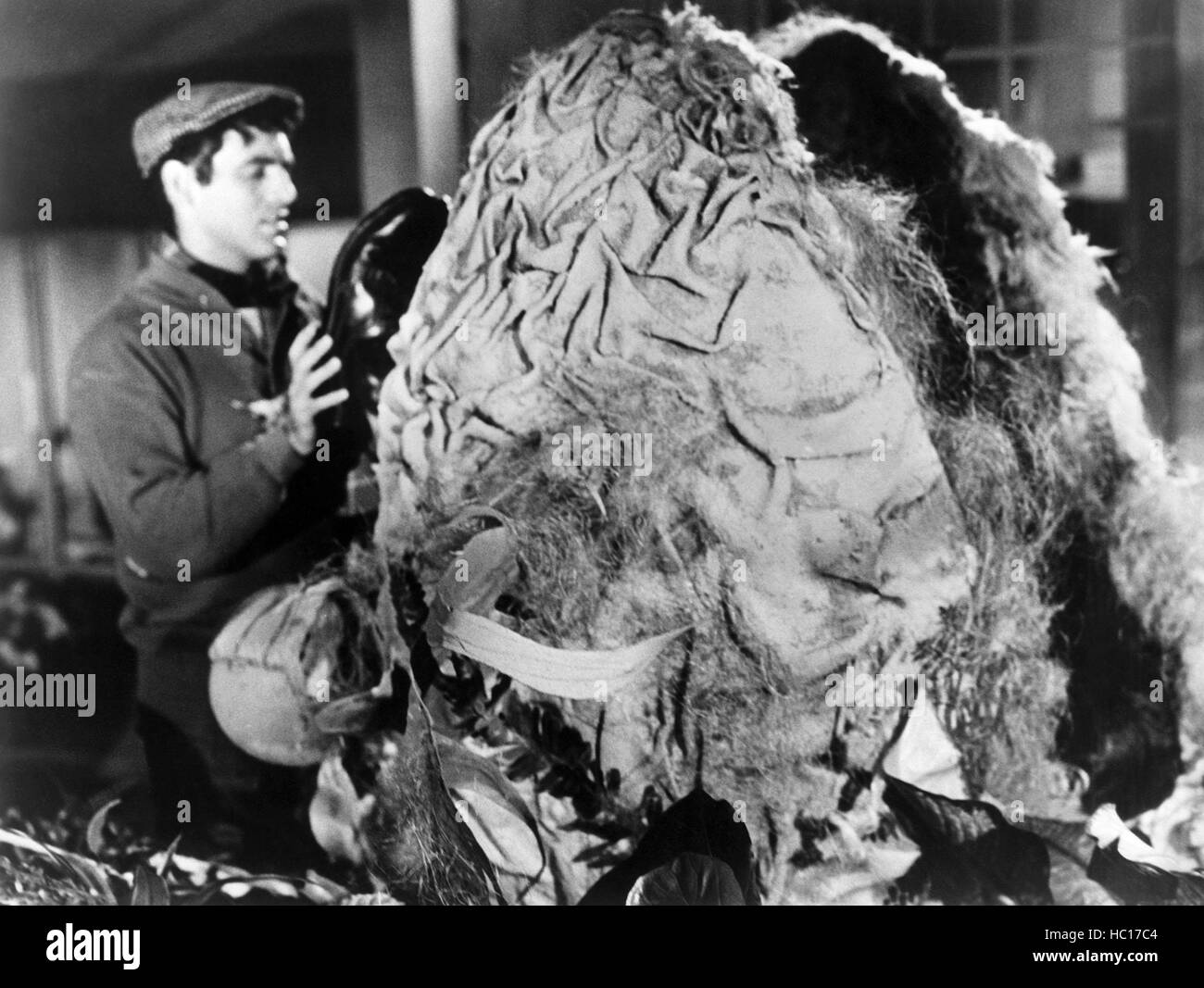 THE LITTLE SHOP OF HORRORS, Jonathan Haze, Audrey Junior (voice ...