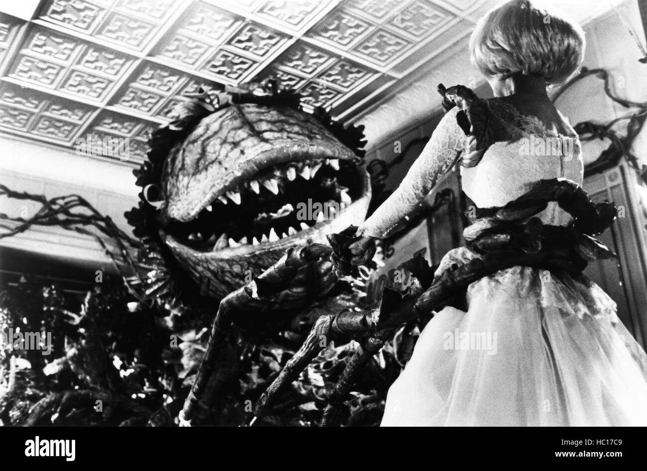 Audrey ii hi-res stock photography and images - Alamy