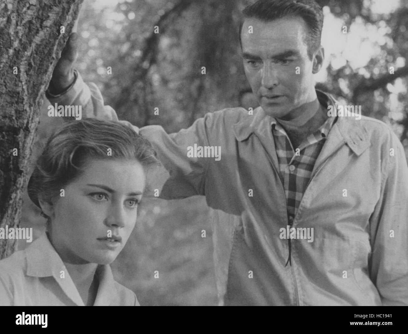 LONELYHEARTS, Dolores Hart, Montgomery Clift, 1958 Stock Photo - Alamy