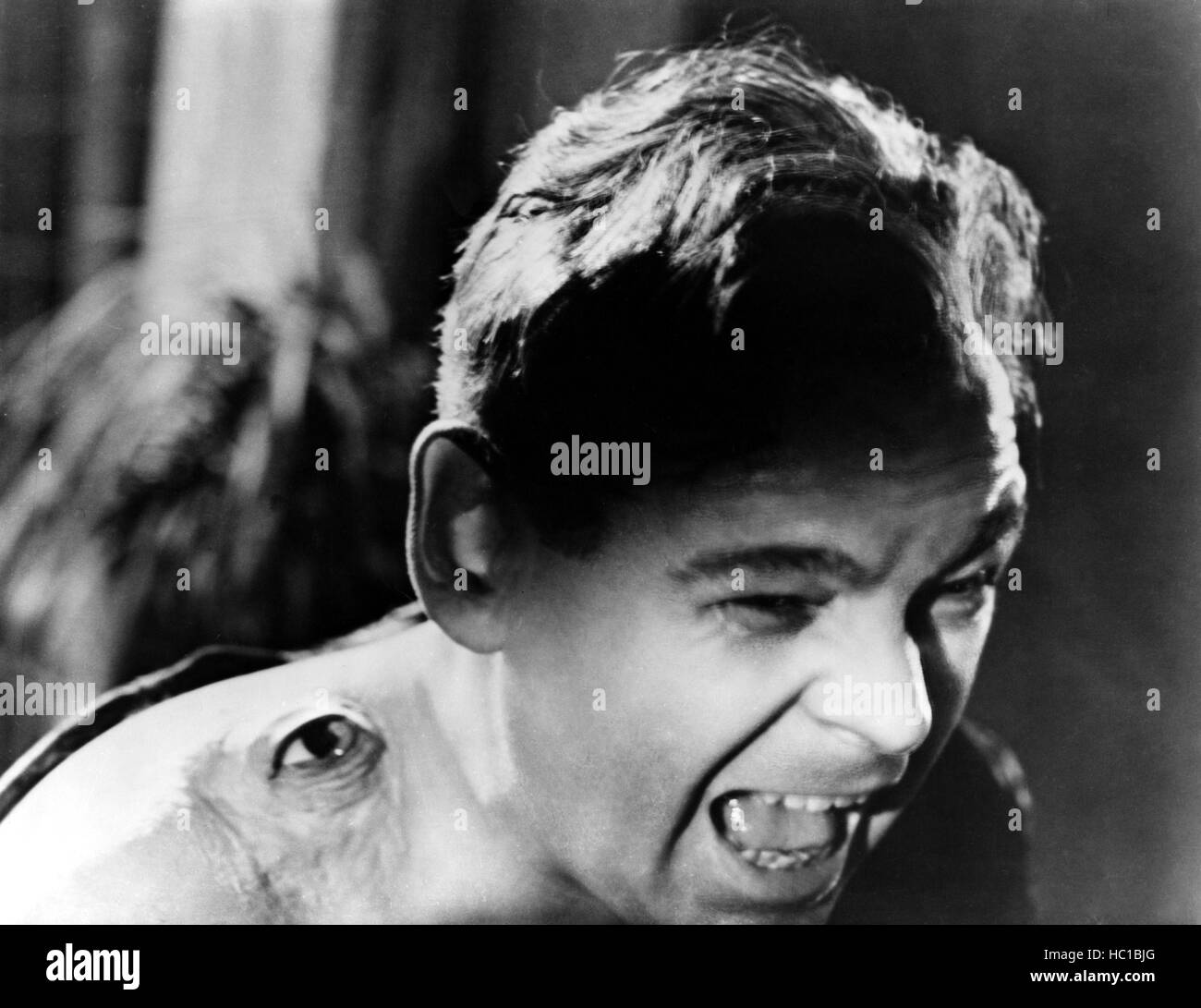 THE MANSTER, Peter Dyneley, 1962 Stock Photo - Alamy