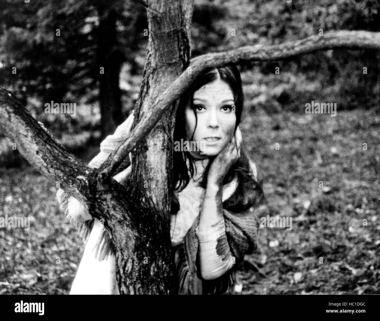A MIDSUMMER NIGHT'S DREAM, Diana Rigg, in a RSC production, 1968 Stock ...