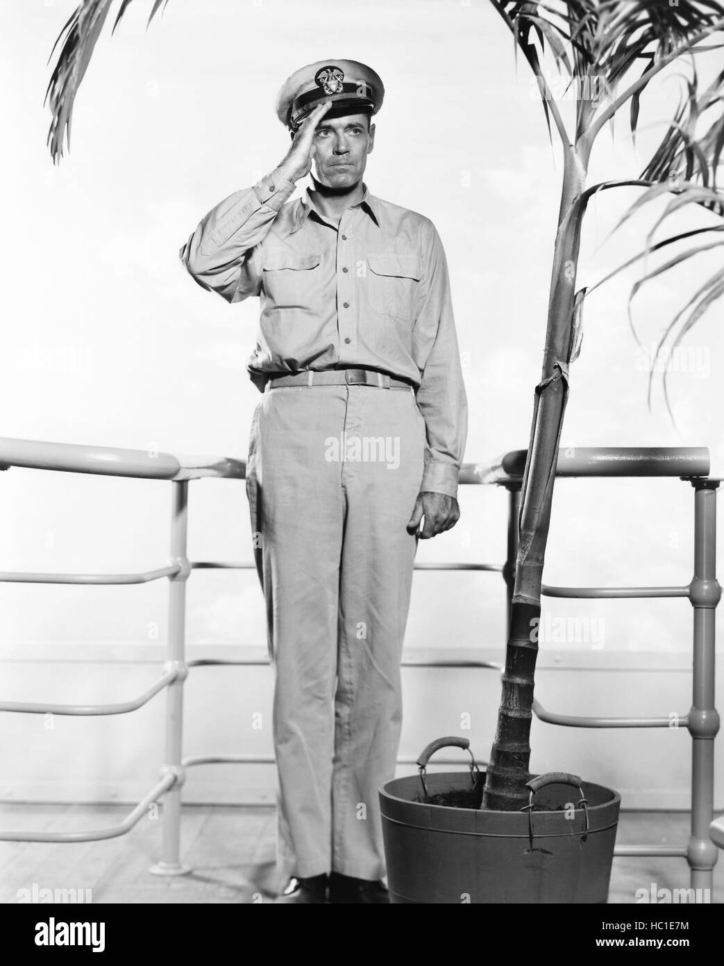 MISTER ROBERTS, Henry Fonda, 1955 Stock Photo - Alamy