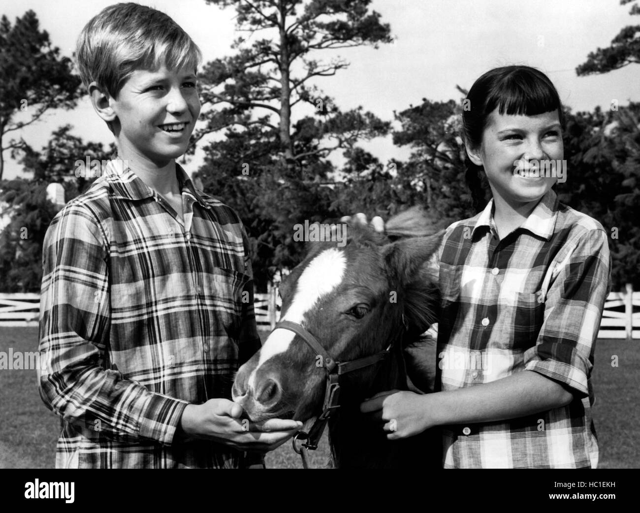 MISTY, David Ladd, Pam Smith, 1961. TM and Copyright © 20th Century Fox ...