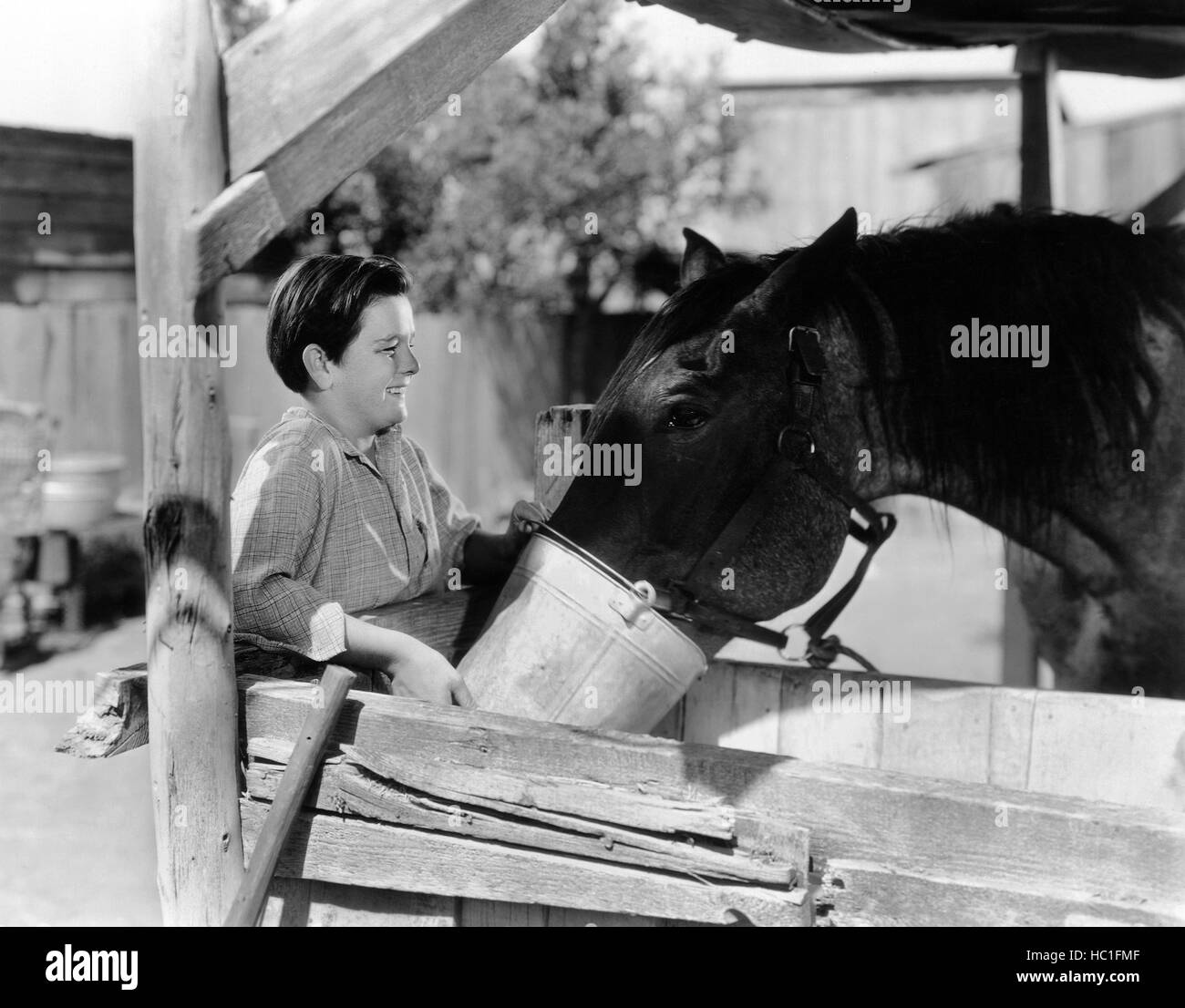 MRS. WIGGS OF THE CABBAGE PATCH, Jimmy Butler, 1934 Stock Photo - Alamy