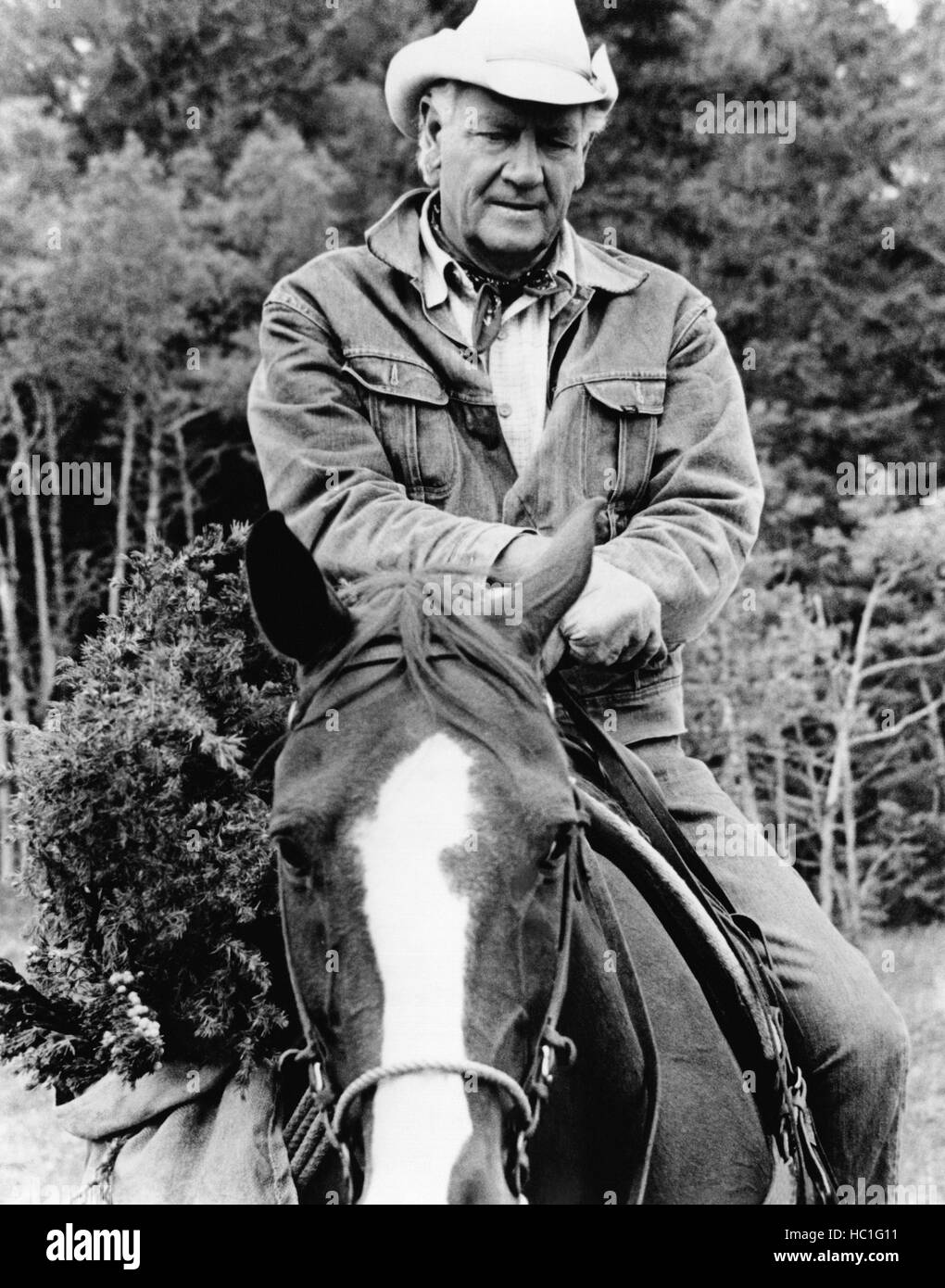MUSTANG COUNTRY, Joel McCrea, 1976 Stock Photo - Alamy