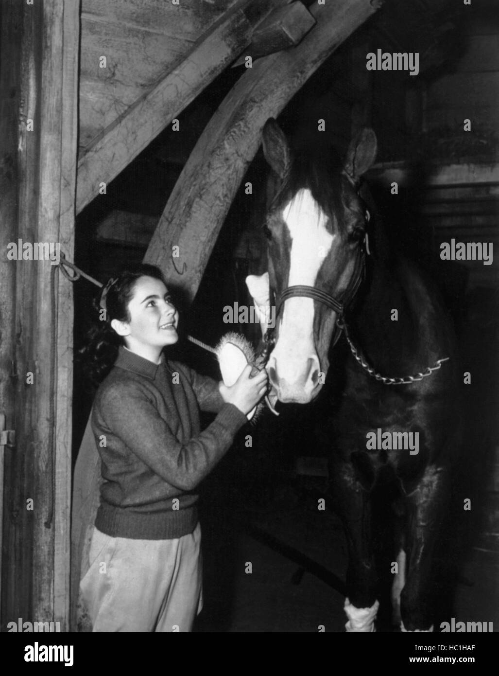 NATIONAL VELVET, Elizabeth Taylor, 1944 Stock Photo - Alamy