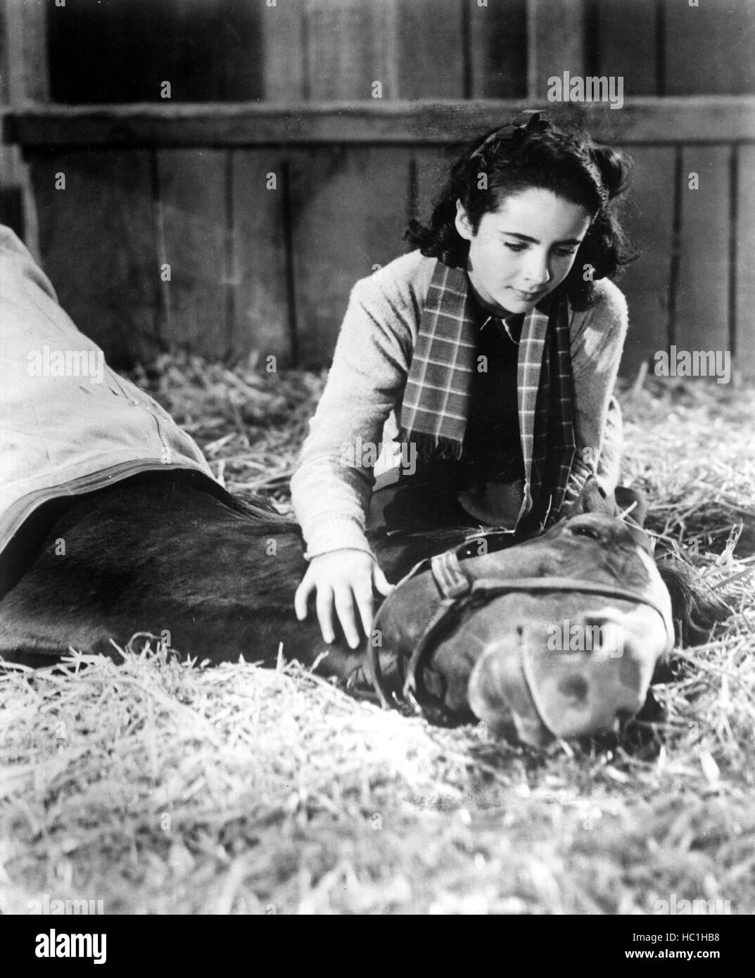 NATIONAL VELVET, Elizabeth Taylor, 1944 Stock Photo - Alamy