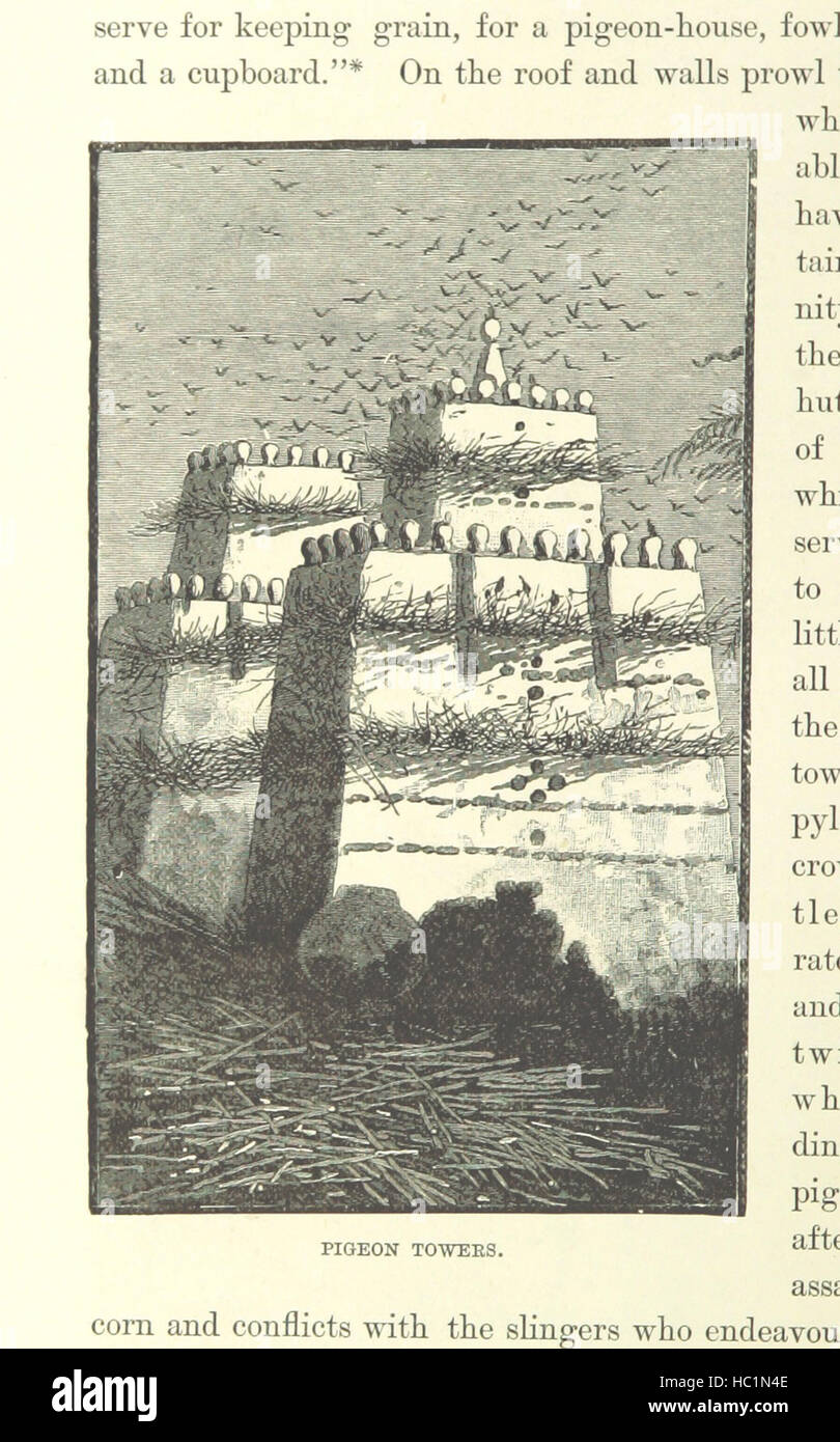 This page from 'Cairo: Sketches of Its History, Monuments, and Social ...