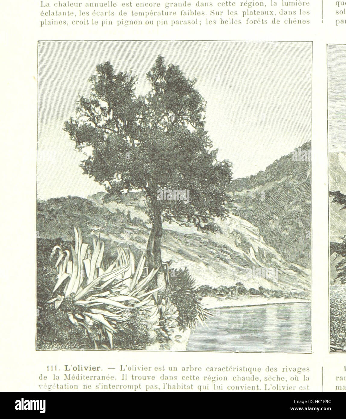 This image from 'Album géographique' presents an illustrated collection ...