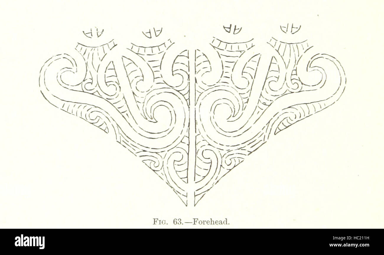 This image from 'Moko; or, Maori Tattooing' provides a visual ...