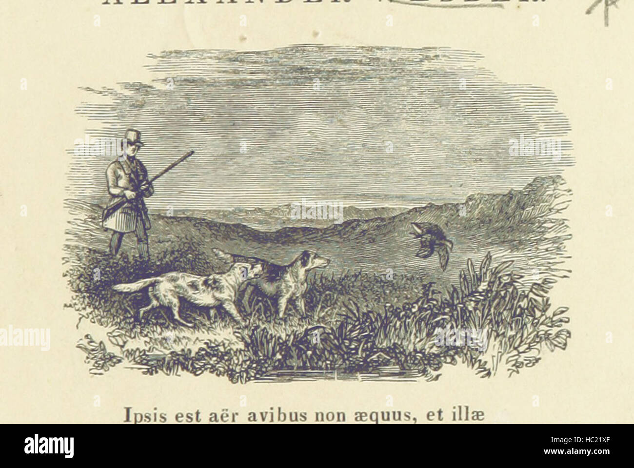 An image from 'Shooting a Poem,' a work that combines poetry with ...