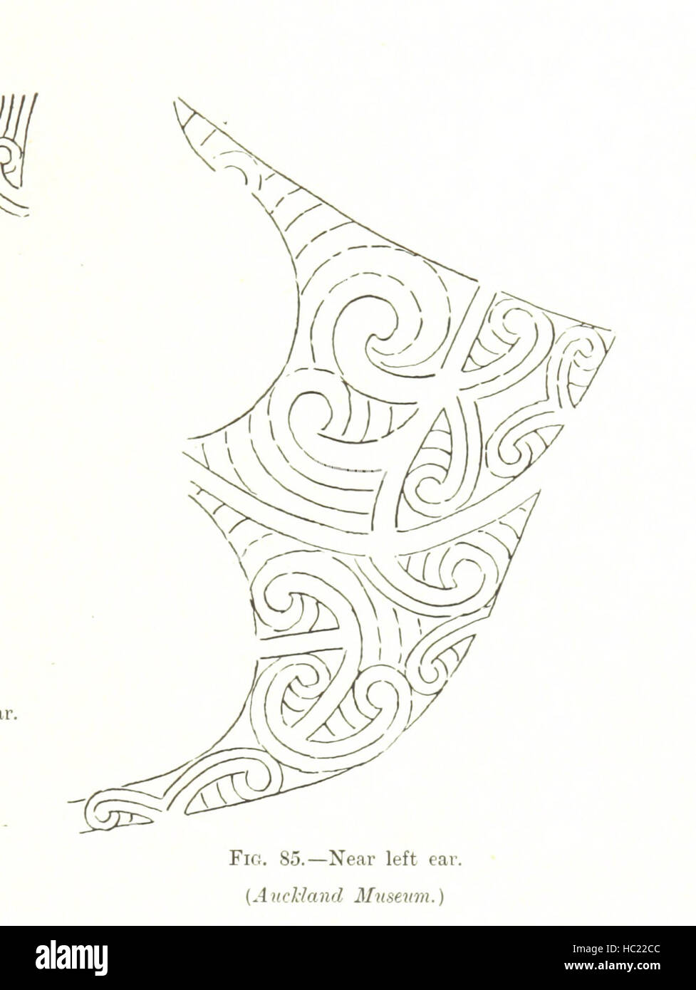 Page 111 of 'Moko; or, Maori Tattooing' illustrates the traditional art ...