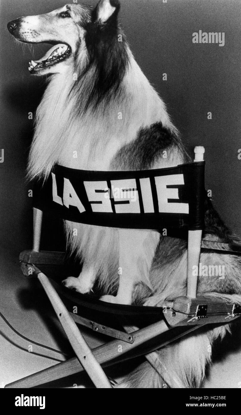 THE MAGIC OF LASSIE, 1978 Stock Photo - Alamy