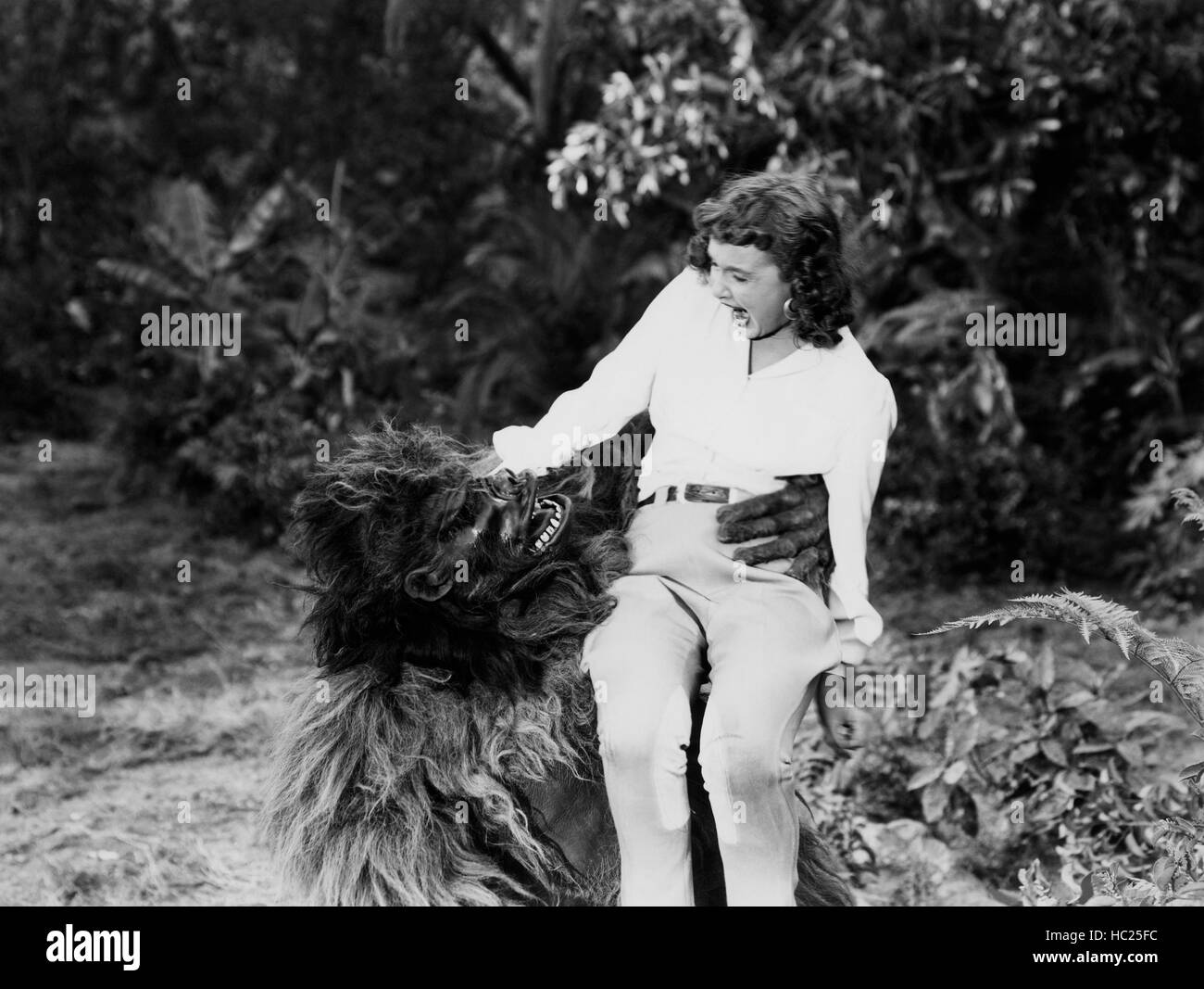 MARK OF THE GORILLA, Trudy Marshall, 1950 Stock Photo - Alamy