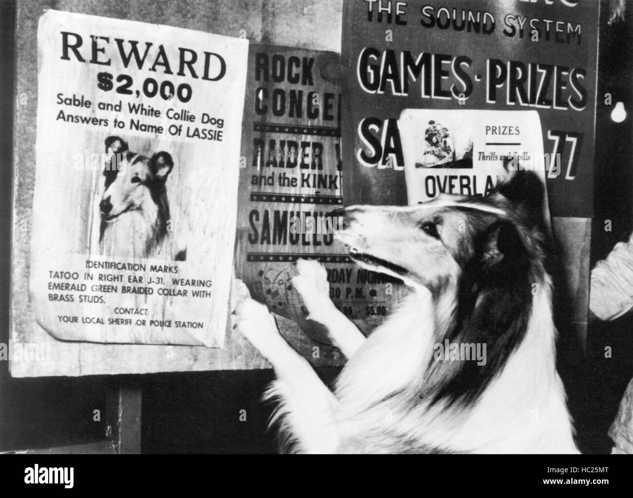 THE MAGIC OF LASSIE, Lassie, 1978. © The International Picture Show ...