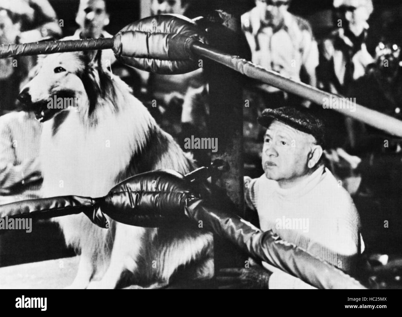 THE MAGIC OF LASSIE, (from left): Lassie, Mickey Rooney, 1978. © The ...