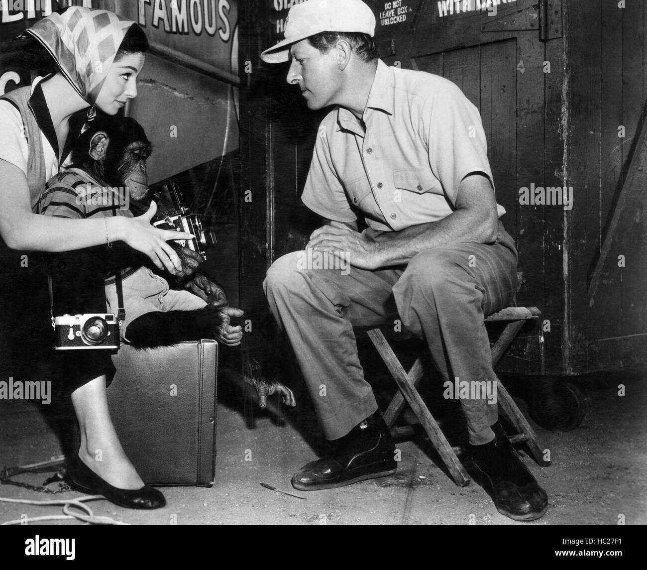 MERRY ANDREW, Pier Angeli (with Leica camera), Danny Kaye, on-set, 1958 ...