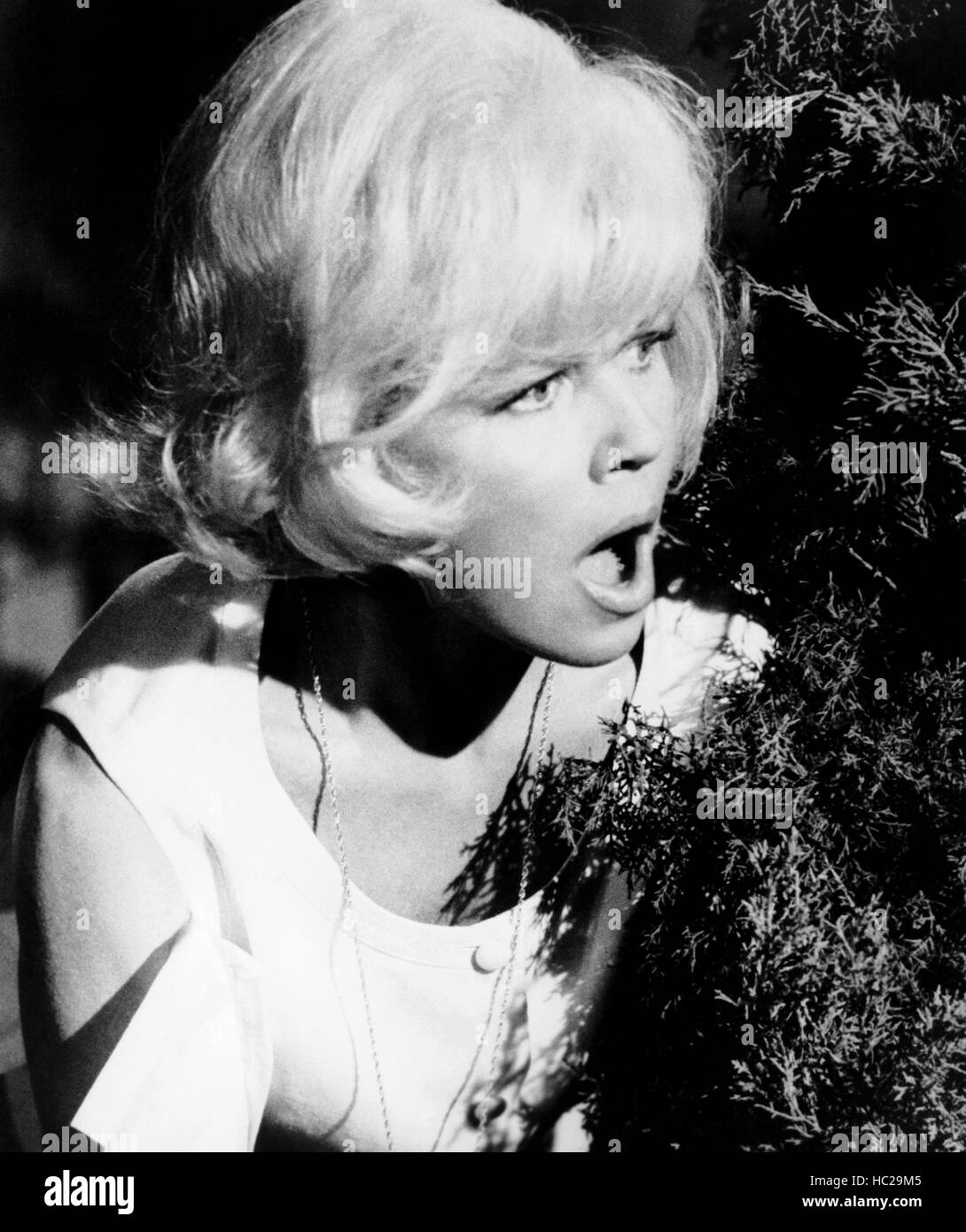 MOVE OVER, DARLING, Doris Day, 1963, TM and Copyright ©20th Century Fox ...