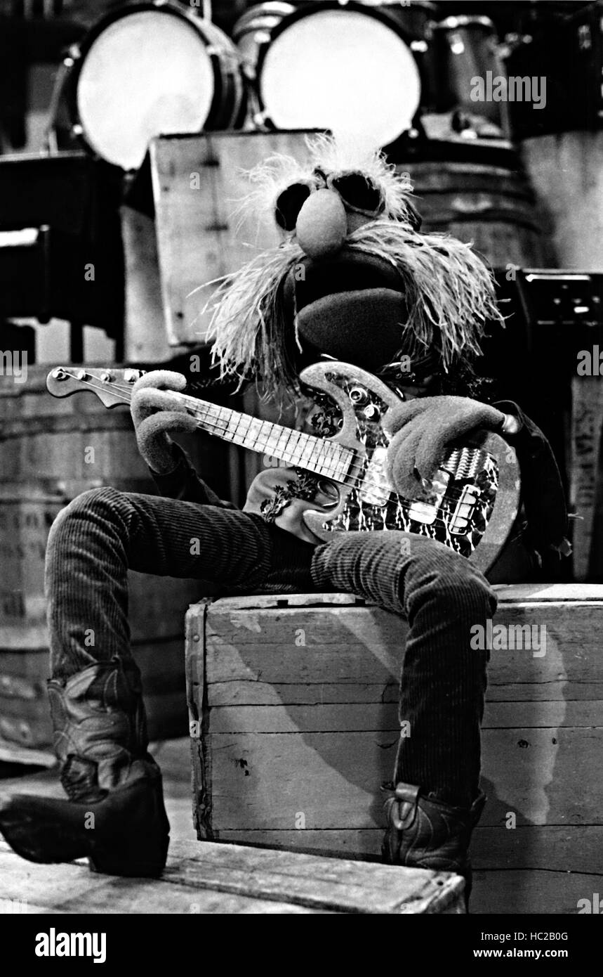 Muppets Dr Teeth Floyd