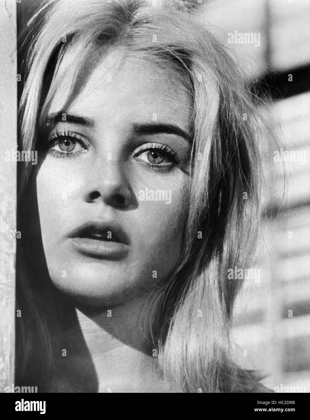 THE NIGHT OF THE IGUANA, Sue Lyon, 1964 Stock Photo - Alamy