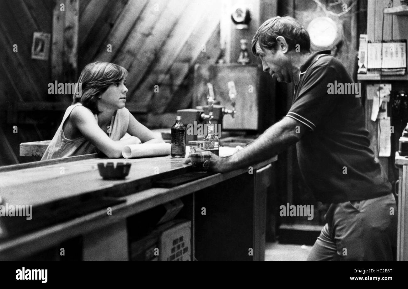 THE NIGHT THE LIGHTS WENT OUT IN GEORGIA, Kristy McNichol, Arlen Dean ...