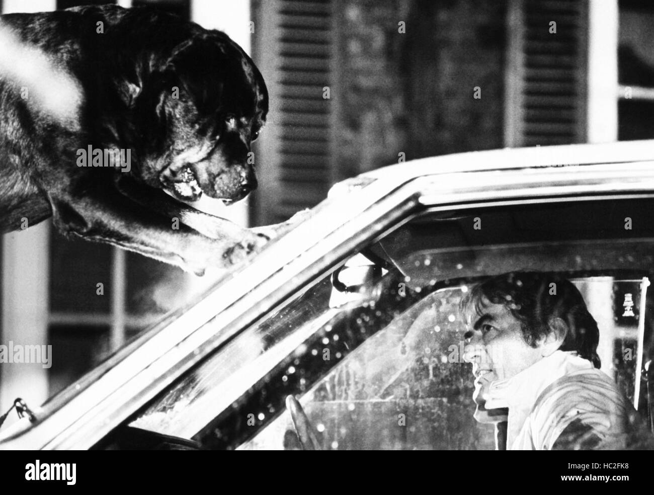 The omen film 1976 hi-res stock photography and images - Alamy