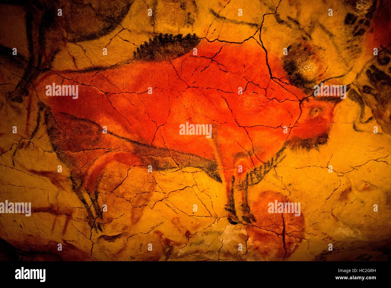 Painting in the cave of altamira hi-res stock photography and images ...