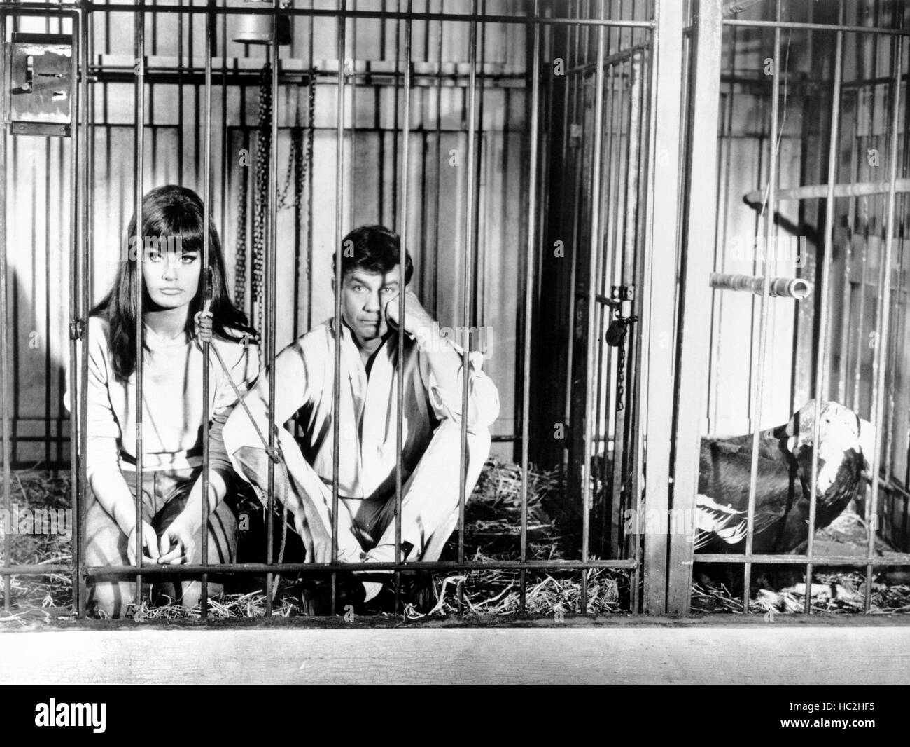 MASQUERADE, (aka OPERATION MASQUERADE, aka A SHABBY TIGER), from left ...