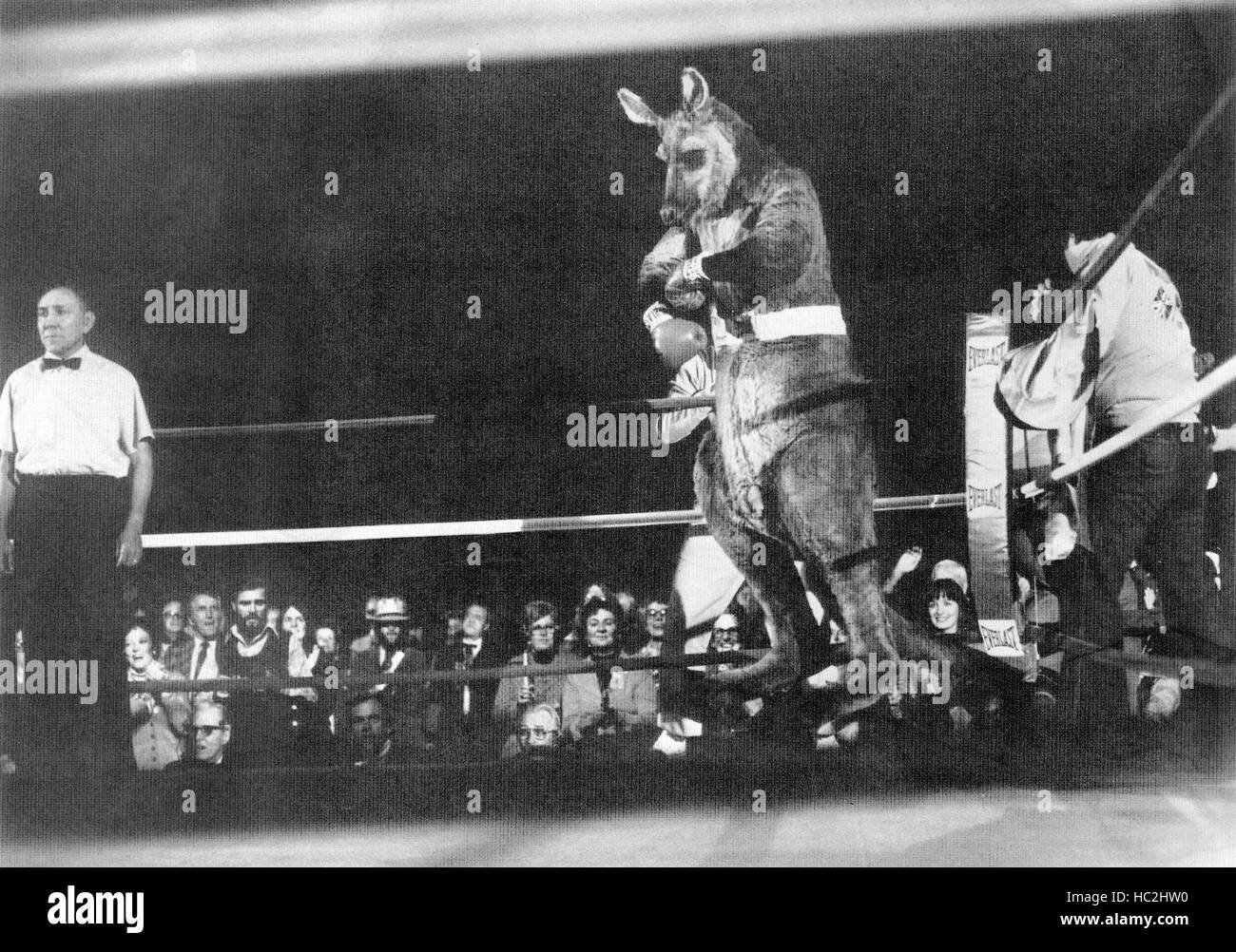 MATILDA, 1978, © American International/courtesy Everett Collection ...