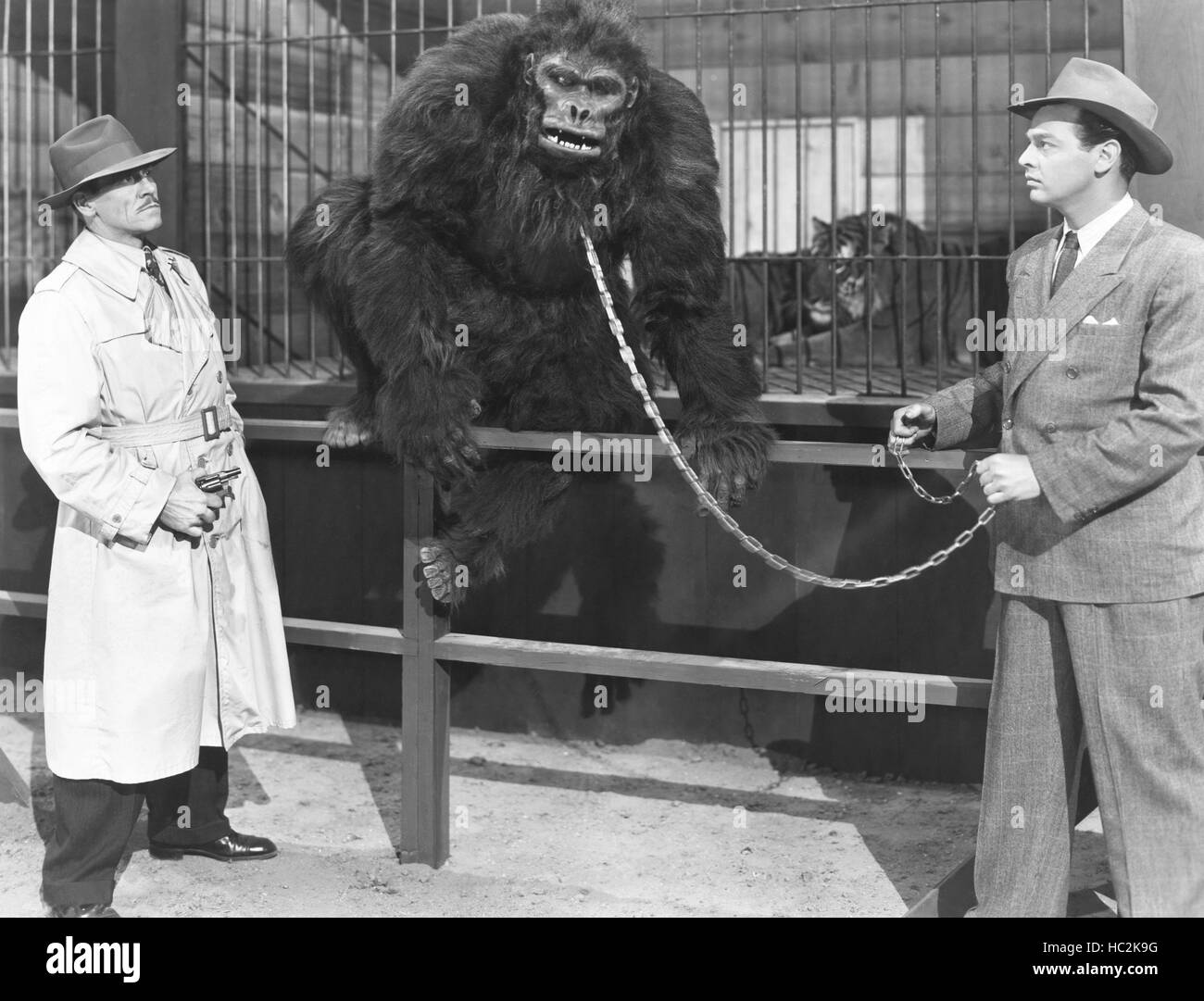 THE MONSTER AND THE APE, from left: Kenneth MacDonald, Robert Lowery ...