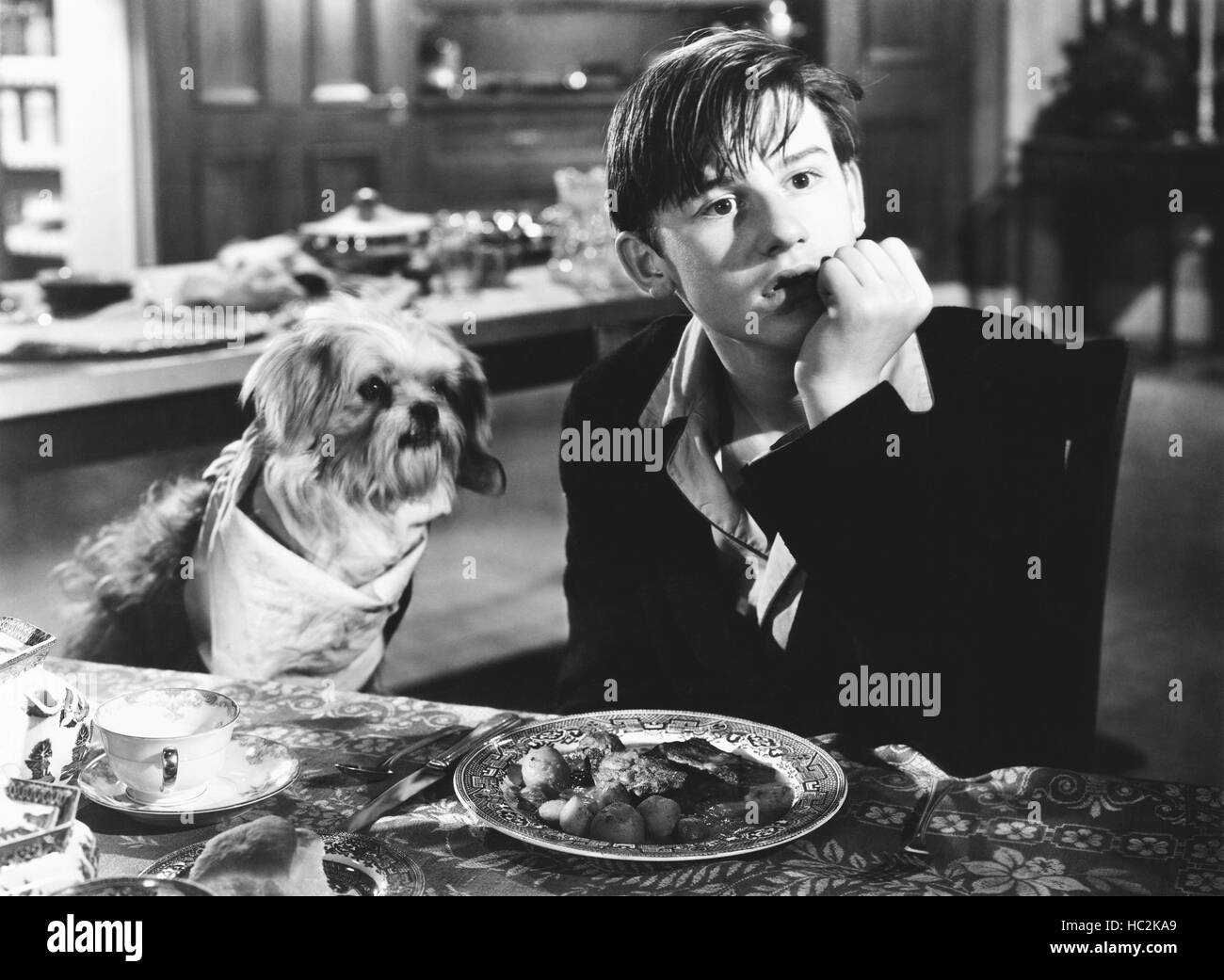 MOLLY AND ME, Roddy McDowall, 1945. TM and copyright ©20th Century Fox ...