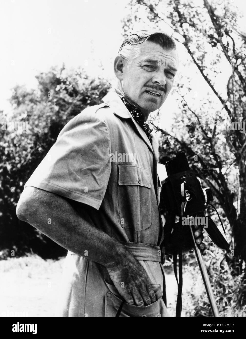MOGAMBO, Clark Gable, 1953 Stock Photo - Alamy