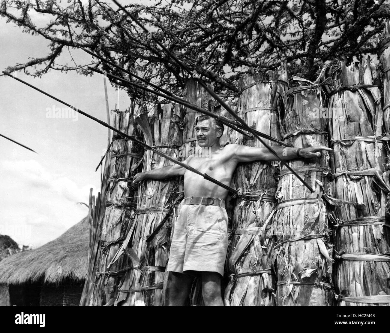 MOGAMBO, Clark Gable, 1953 Stock Photo - Alamy