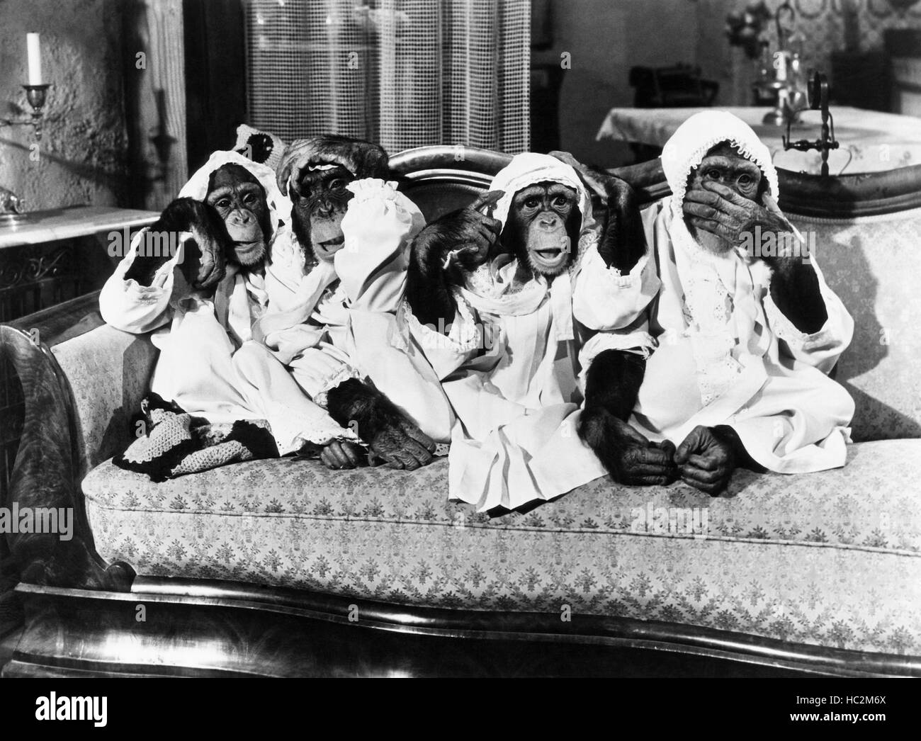 MONKEYS, GO HOME!, 1967 Stock Photo - Alamy