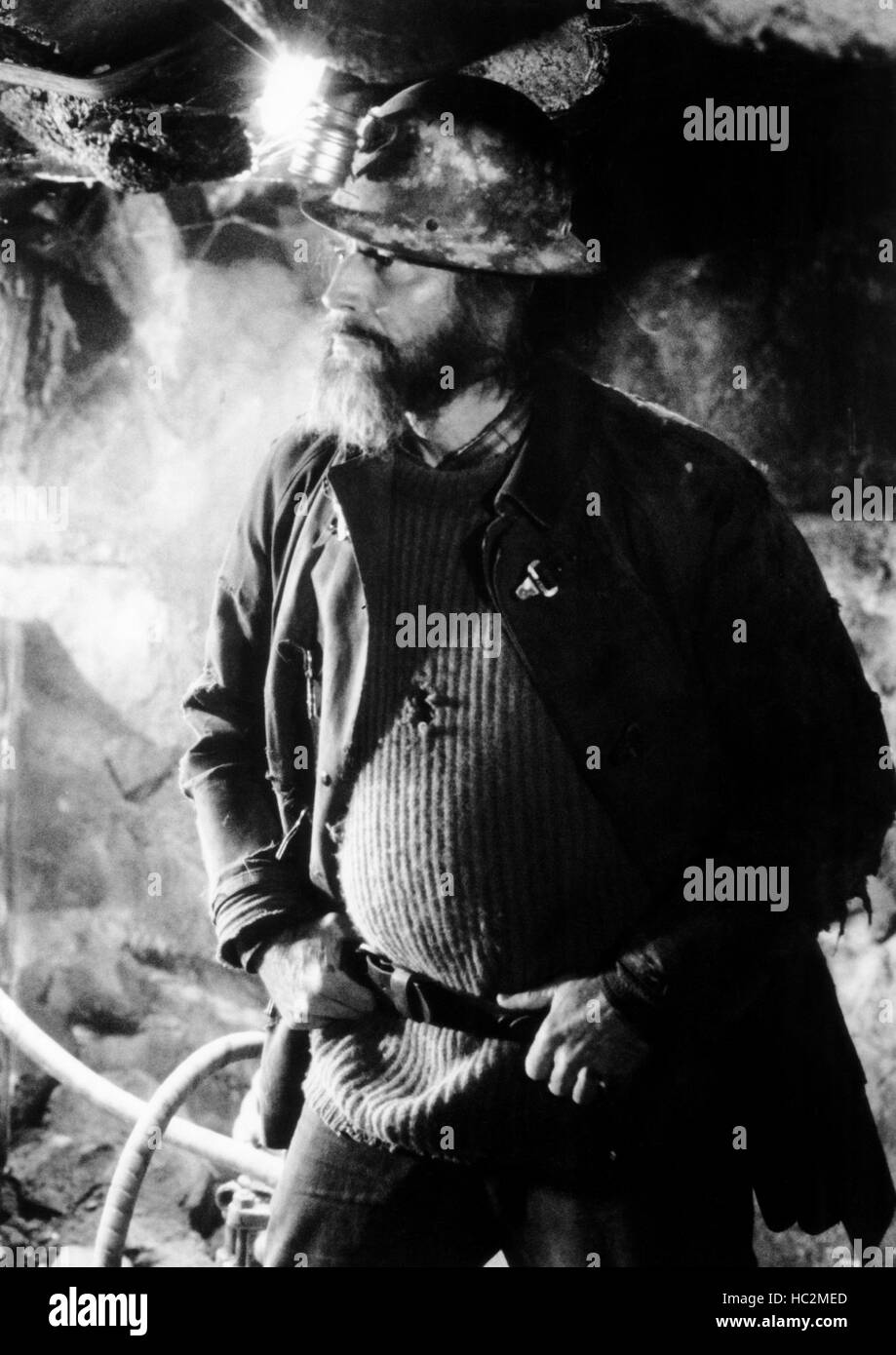 MOTHER LODE, Charlton Heston, 1982, ©Agamemnon Films/courtesy Everett ...