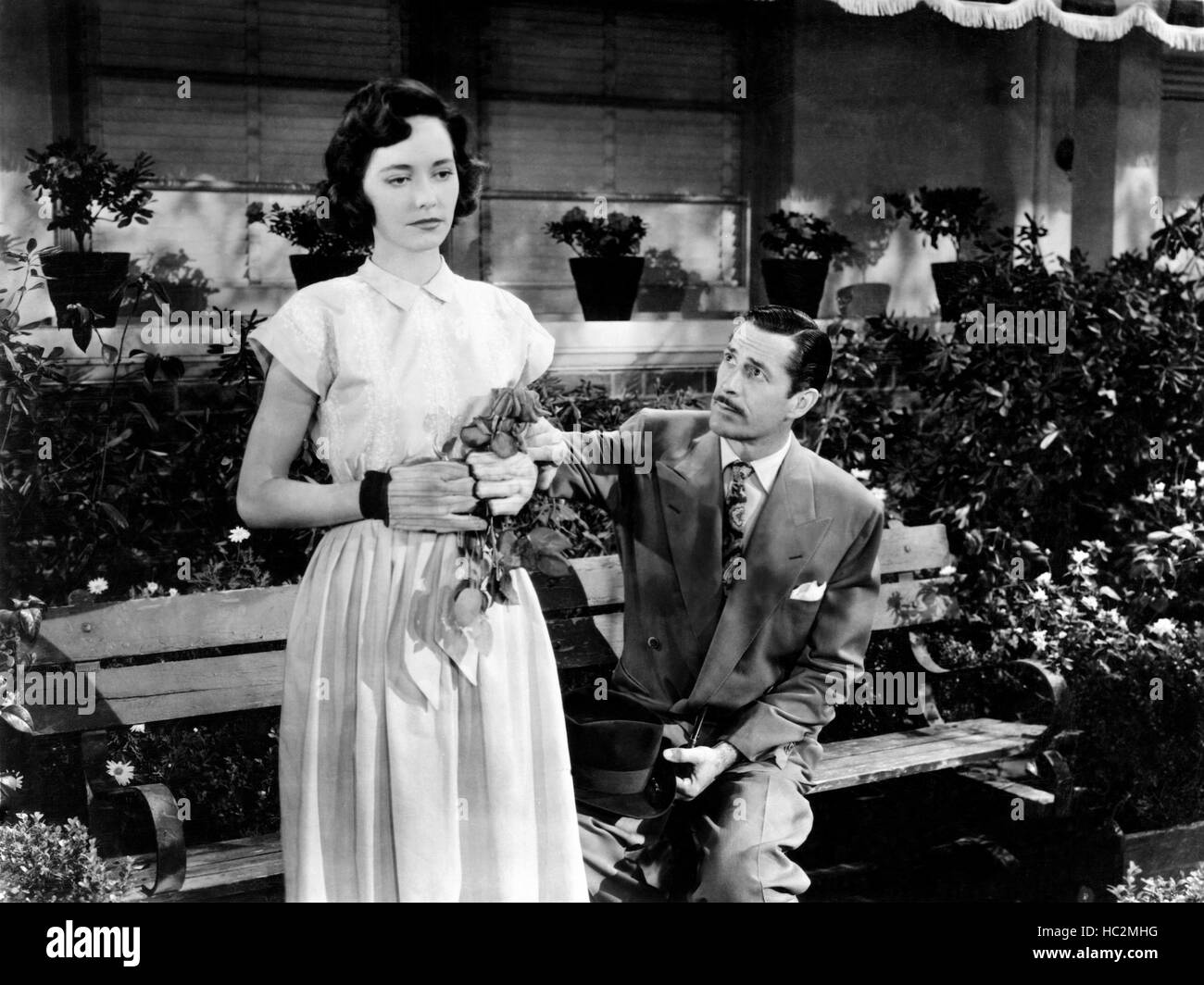 A MODERN MARRIAGE, from left, Margaret Field, Reed Hadley, 1950 Stock ...