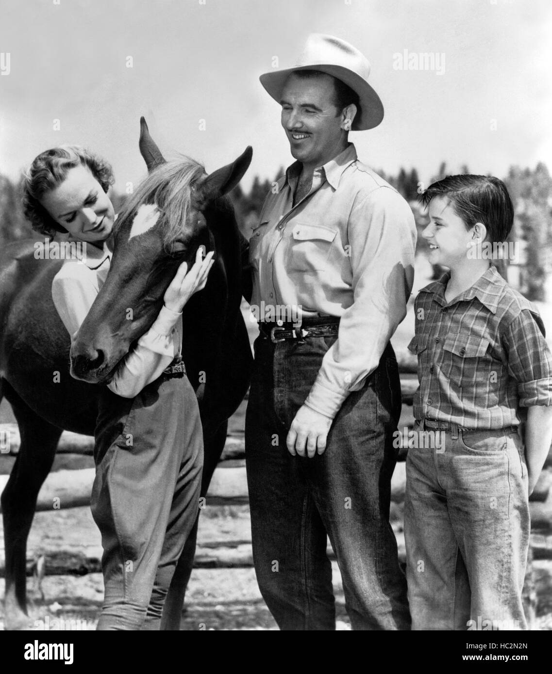 MY FRIEND FLICKA, Rita Johnson, Preston Foster, Roddy McDowall, 1943 ...
