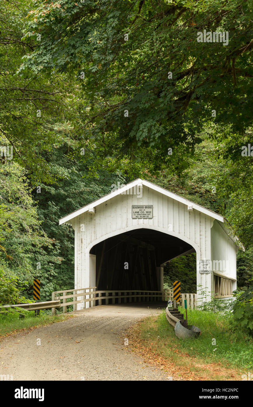 The Deadwood Covered Bridge in Oregon's Coast Range Stock Photo - Alamy