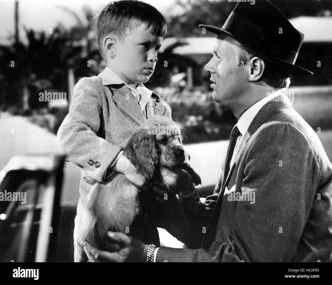 MY PAL GUS, from left: George Winslow, Richard Widmark, 1952 TM and ...