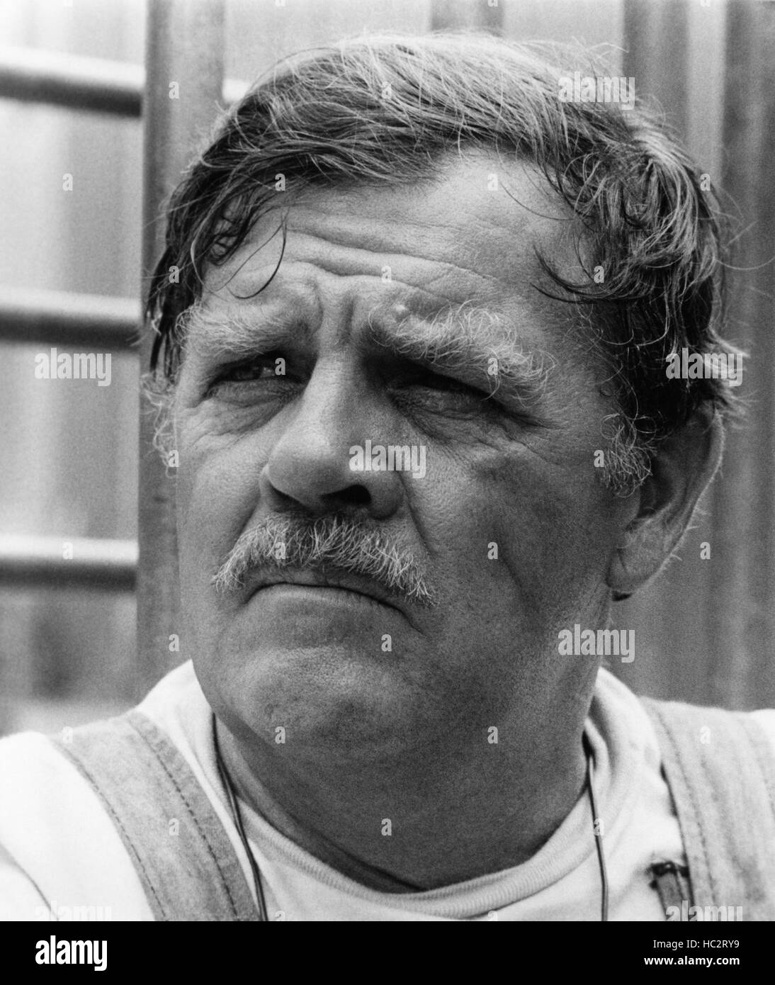 NORMA RAE, Pat Hingle, 1979, TM and Copyright ©20th Century Fox Film ...