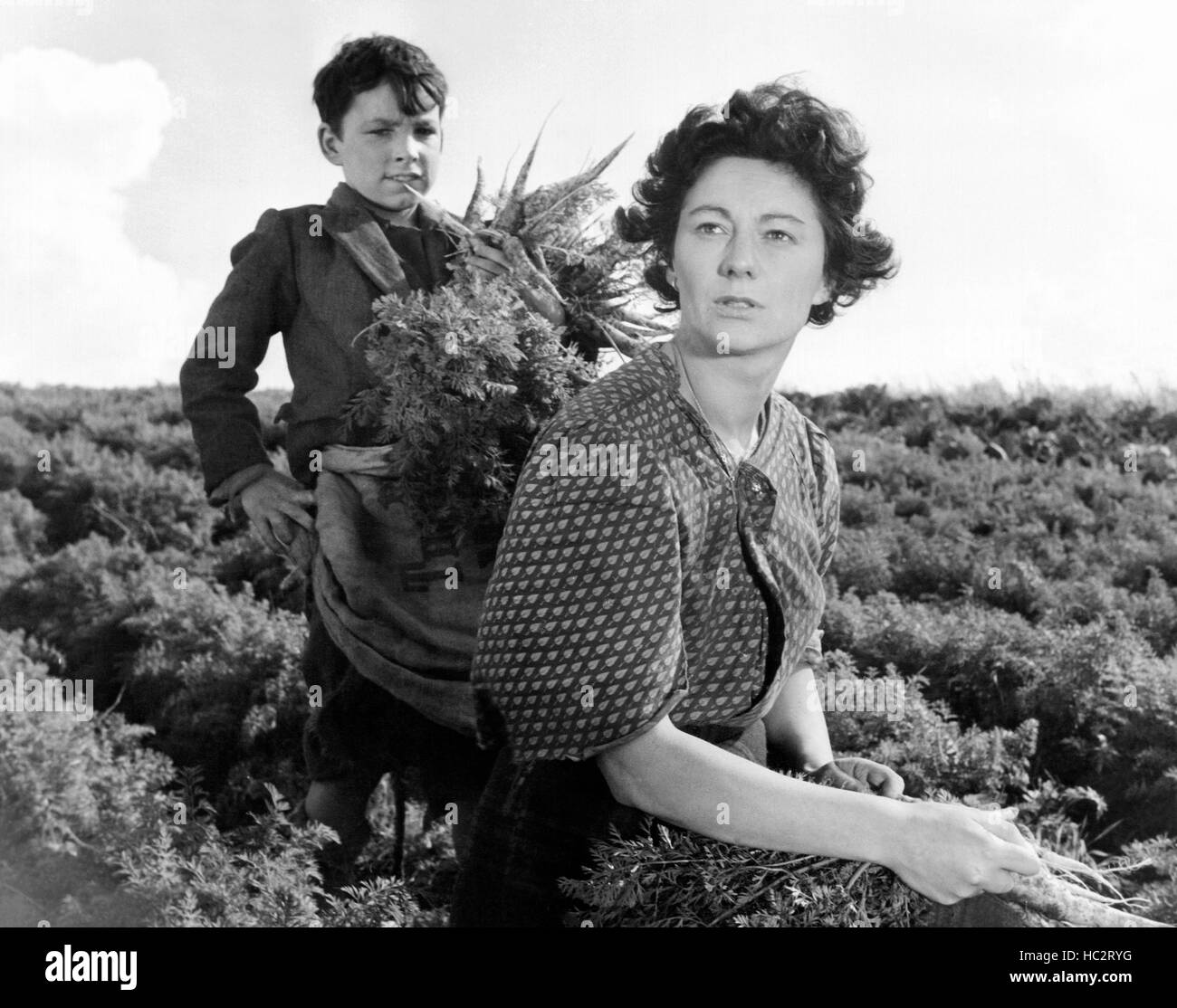 NO RESTING PLACE, from left: Christy Lawrence, Eithne Dunne, 1951 Stock ...