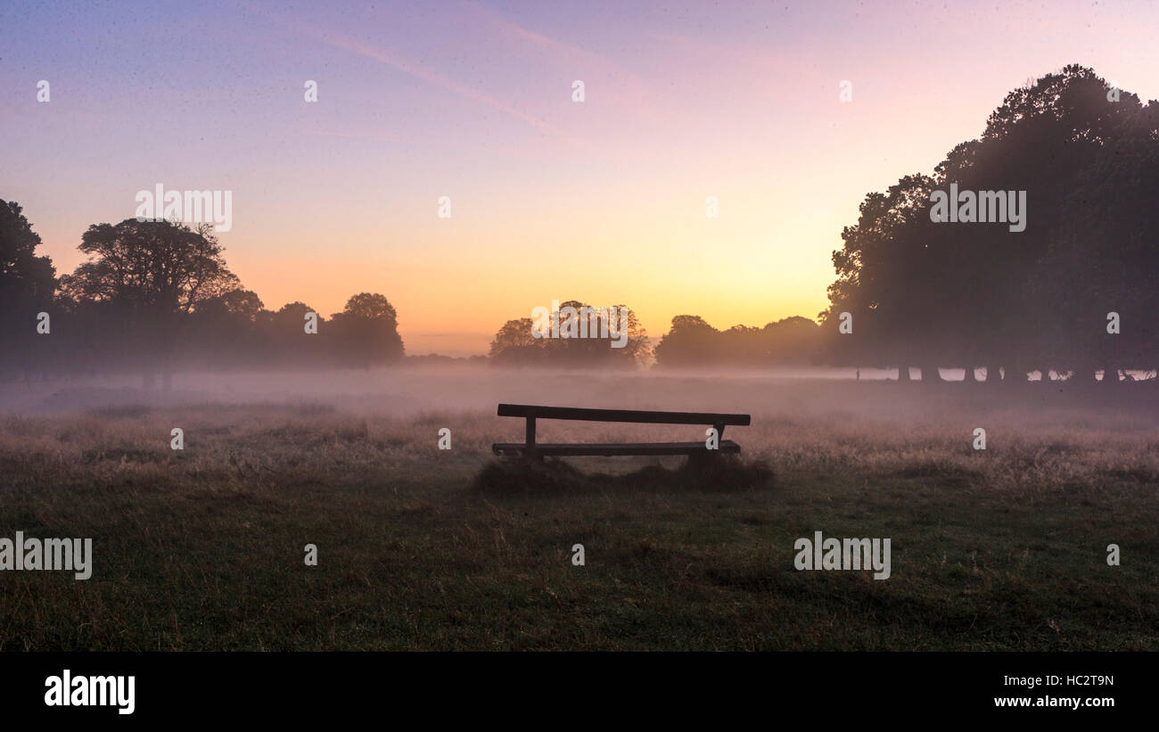 A single bench in the park on a misty and foggy dawn sunrise Stock ...