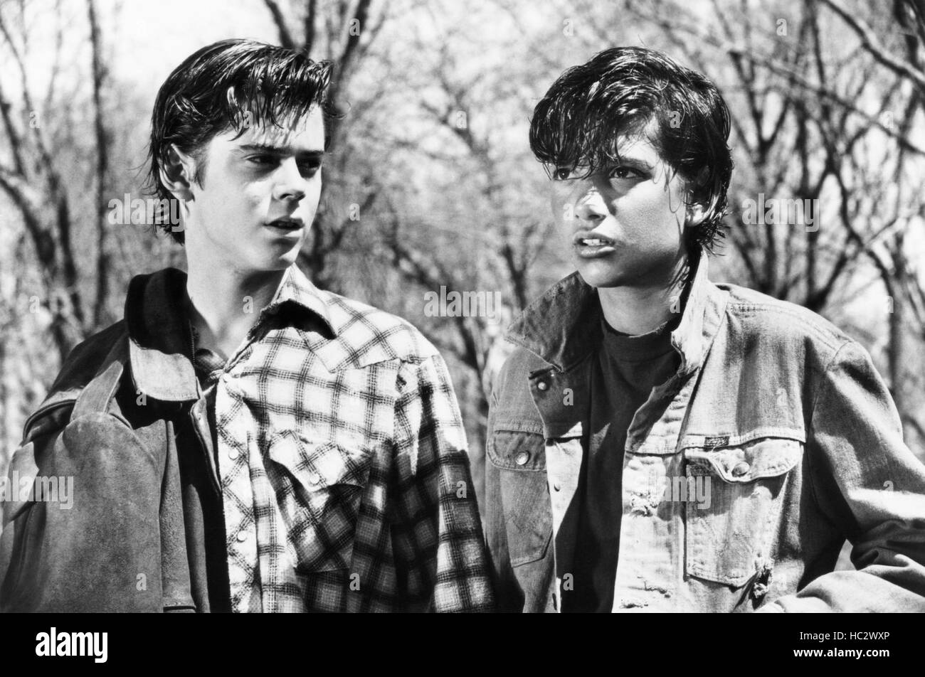 THE OUTSIDERS, from left: C. Thomas Howell, Ralph Macchio, 1983 ...