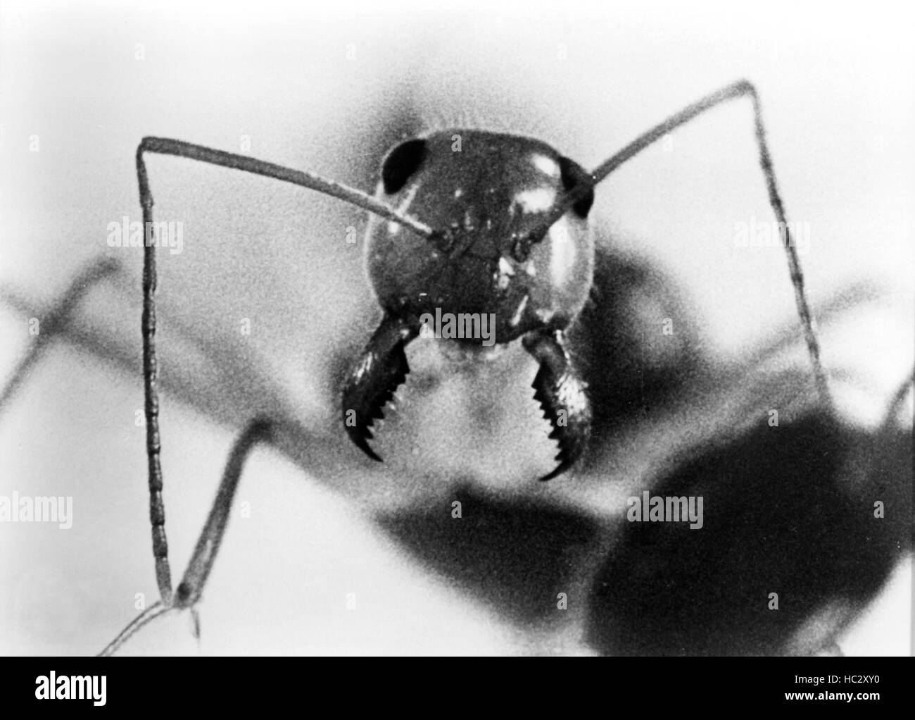 Phase iv hi-res stock photography and images - Alamy